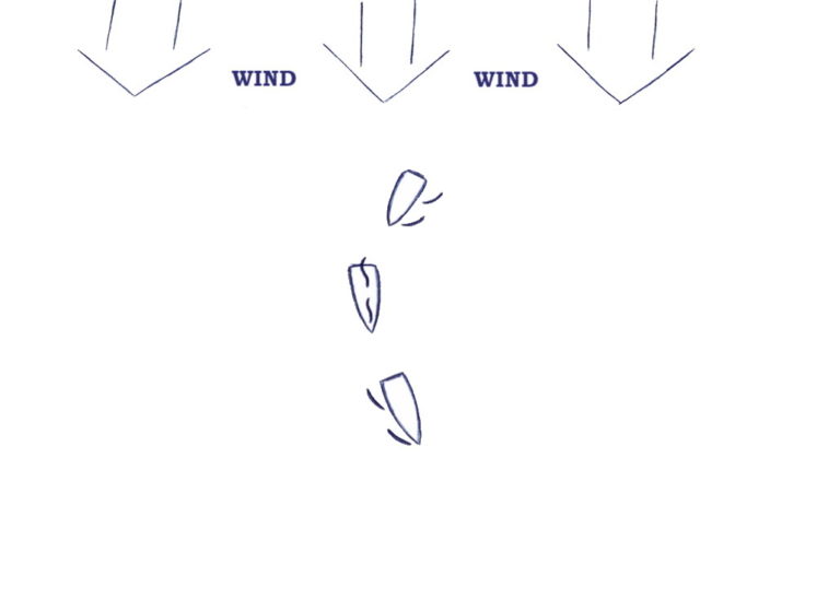 Segelmanöver - Was sind Segelmanöver und welche gibt es?